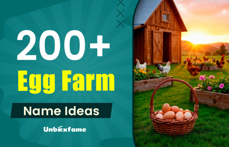 200+ Egg Farm Name Ideas for Your Business